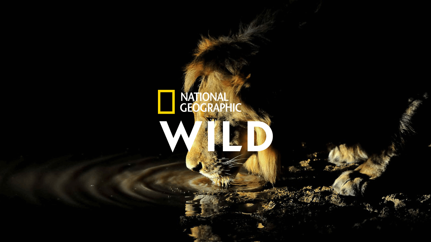 National Geographic Wild HD sledujte online v národnom online kine Sweet.tv