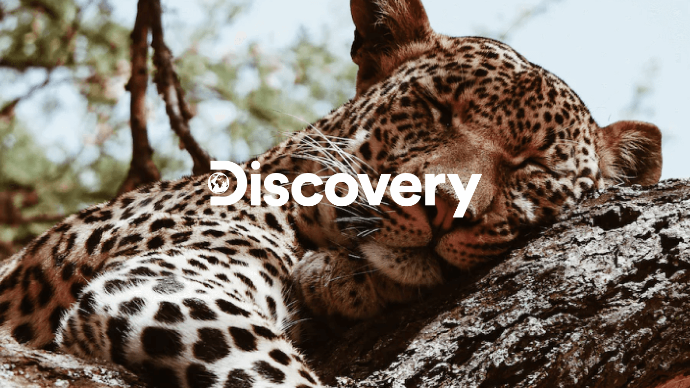 Sledujte Discovery Channel live v HD zadarmo | Sweet.tv