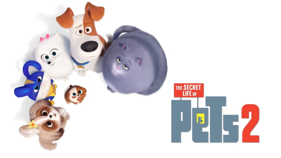 The Secret Life of Pets 2 (2019) – watch online in high quality on Sweet TV