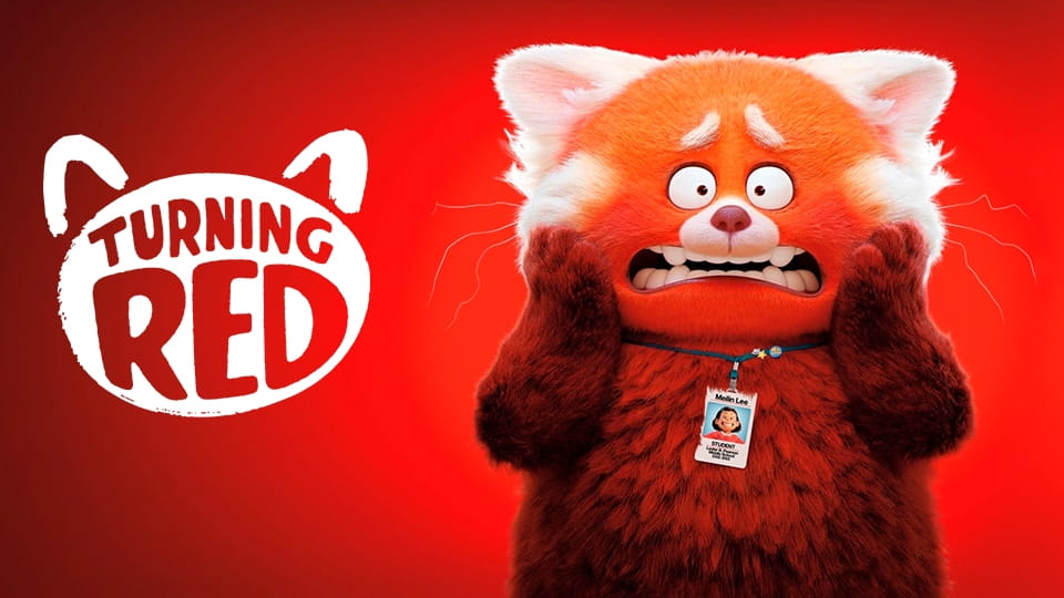 Pirula panda (2022) - nézd online kiváló minőségben a Sweet TV-n