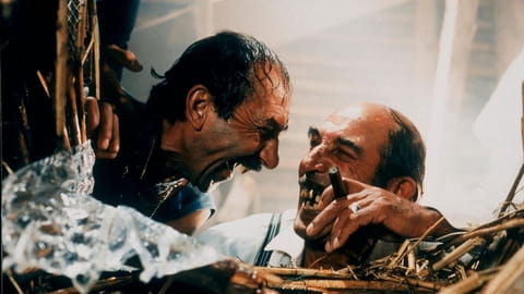 Macska-jaj (1998) - nézd online kiváló minőségben a Sweet TV-n