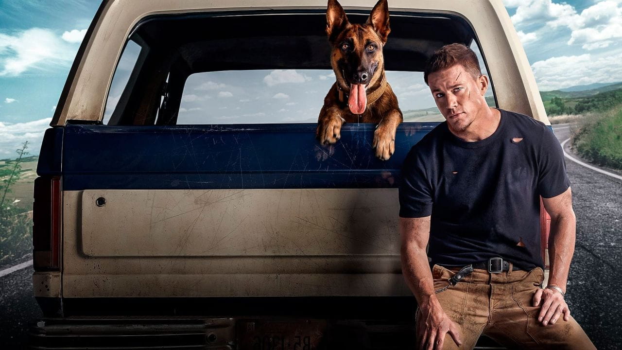 Pes (2022) - sledujte online ve vysoké kvalitě na Sweet TV