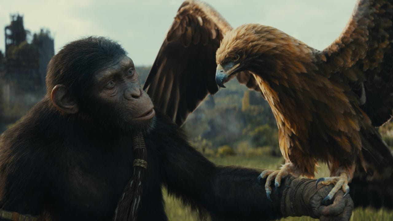 Kráľovstvo planéty opíc (2024) - sledujte online vo vysokej kvalite na Sweet TV